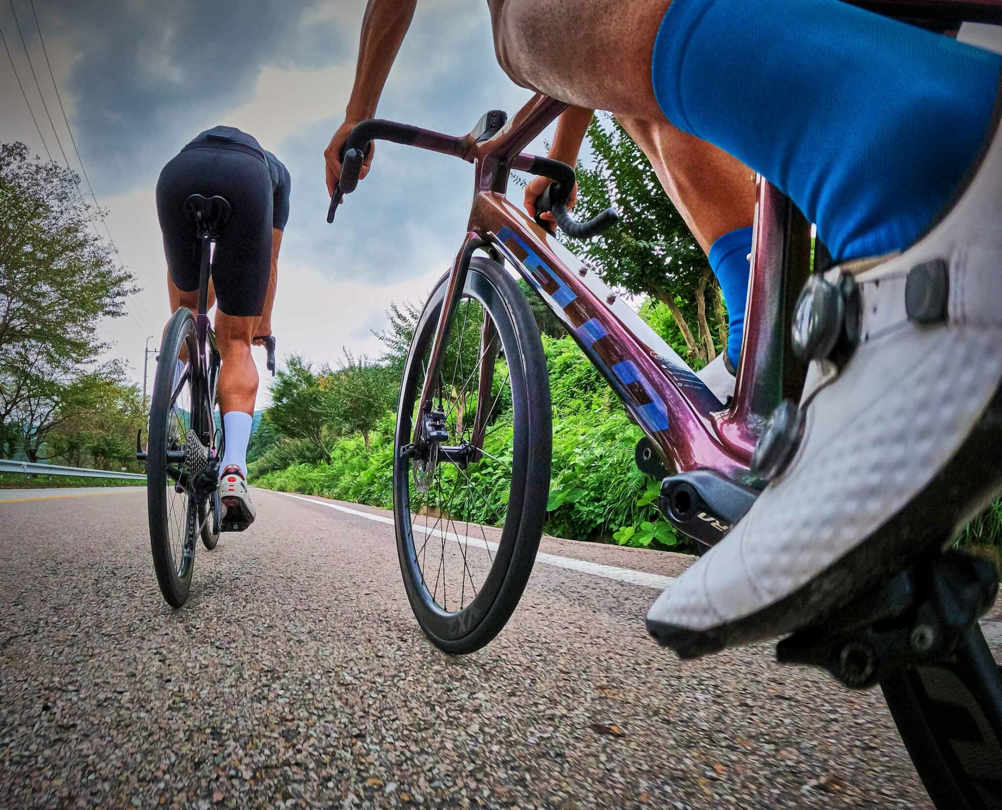 2023 상반기 첼로자전거 인기 컬러 순위 공개 - CELLOBIKE - 첼로자전거